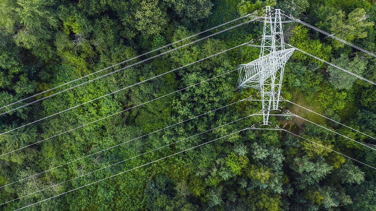 Green Compass:™ Interactive Decarbonization Tool | Blog | Amex GBT