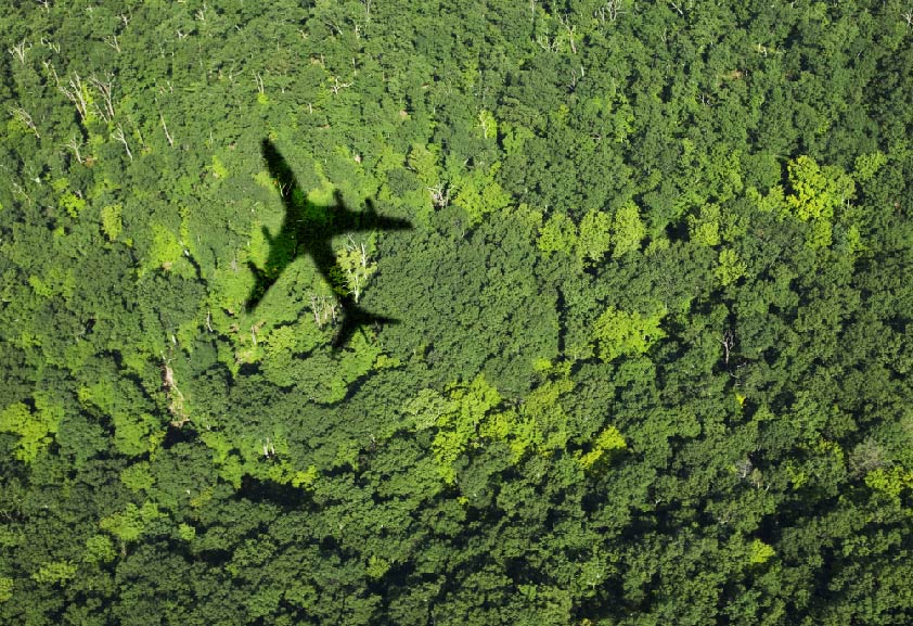 Corporate Sustainability | Amex GBT