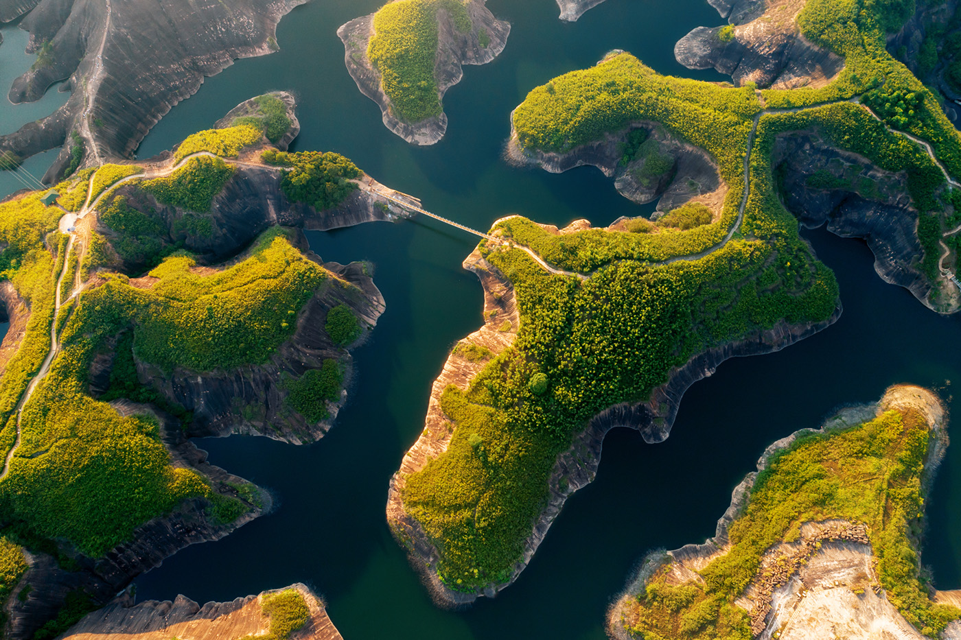 Building a Sustainable Meetings and Events Program | Amex GBT